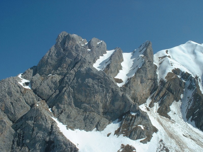 Mamule - Camptocamp.org