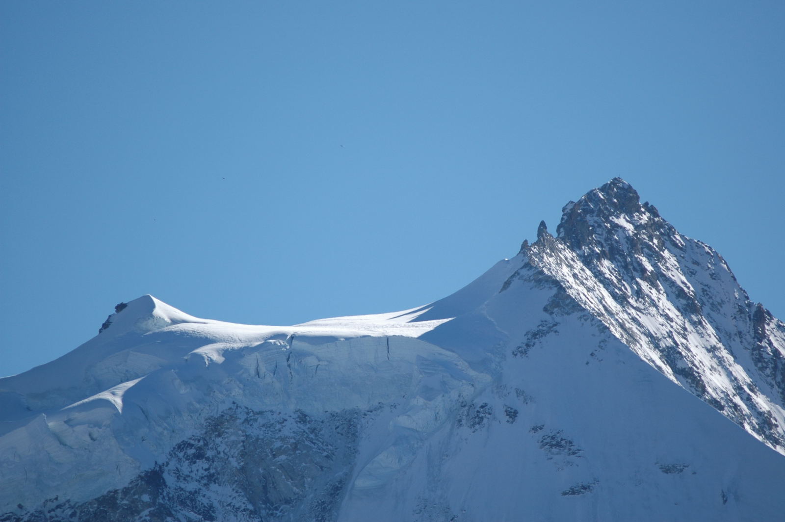 Zinalrothorn - Camptocamp.org