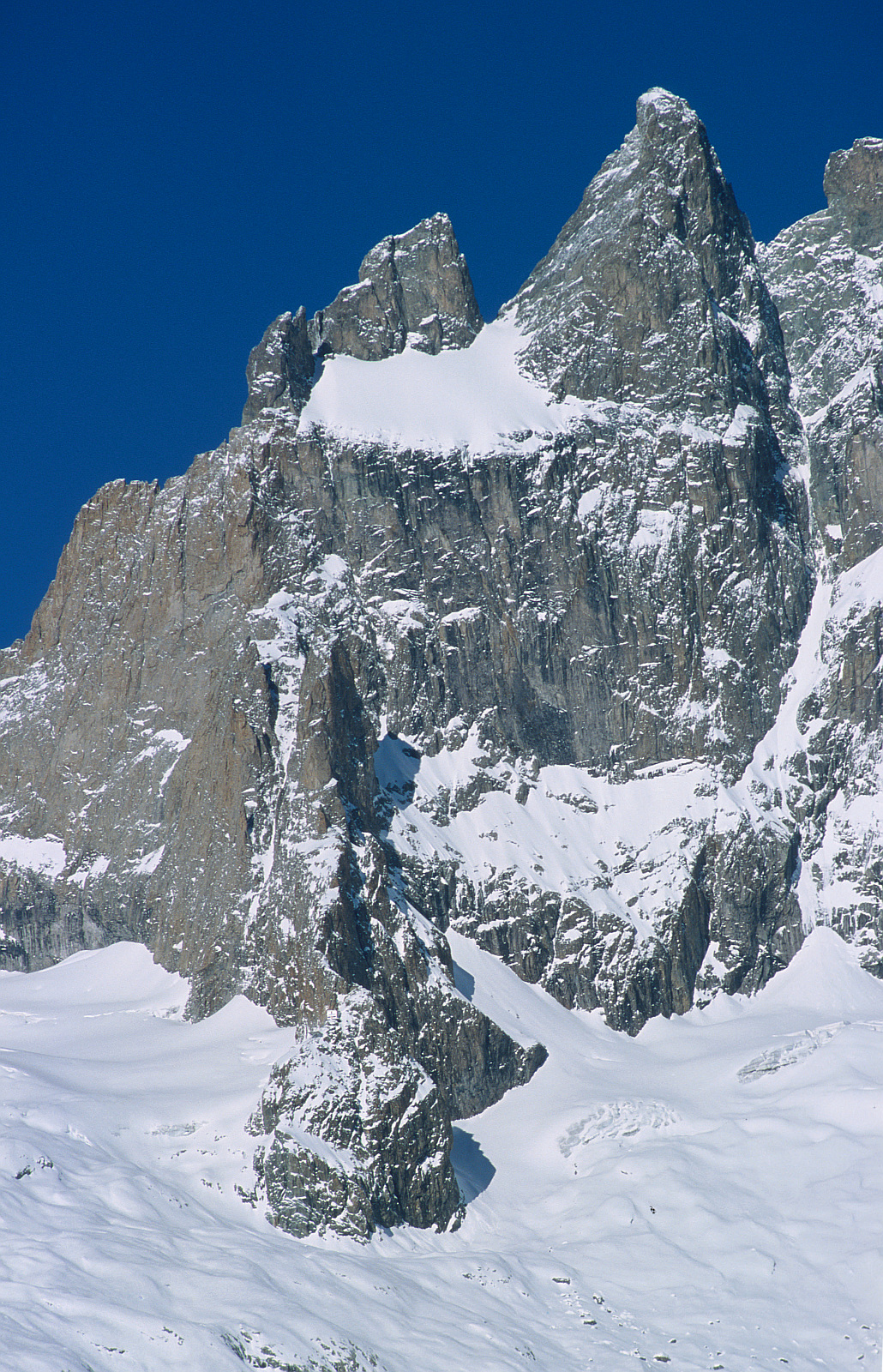 La Meije - Grand Pic - Camptocamp.org