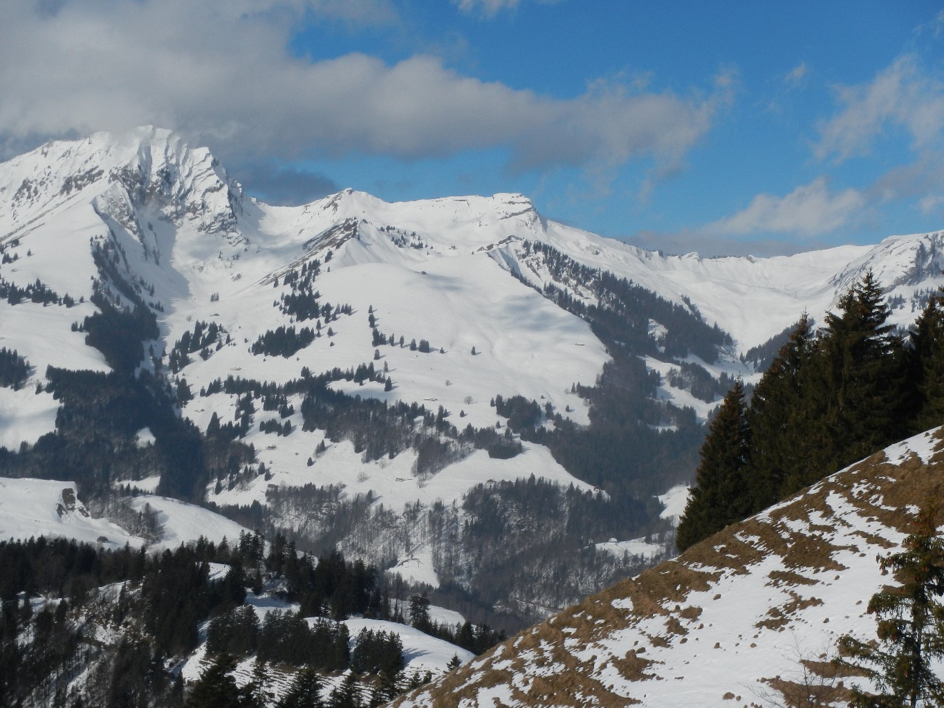 Folliu Borna : Tour depuis les Sciernes d'Albeuve - Camptocamp.org