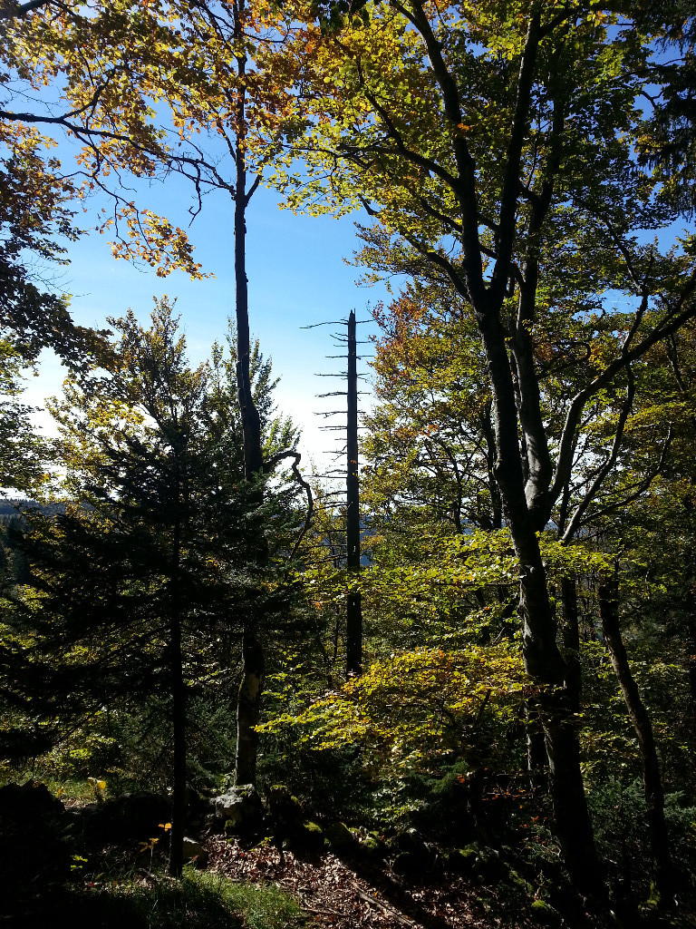 La Luette : Belvédère de la Luette - Camptocamp.org