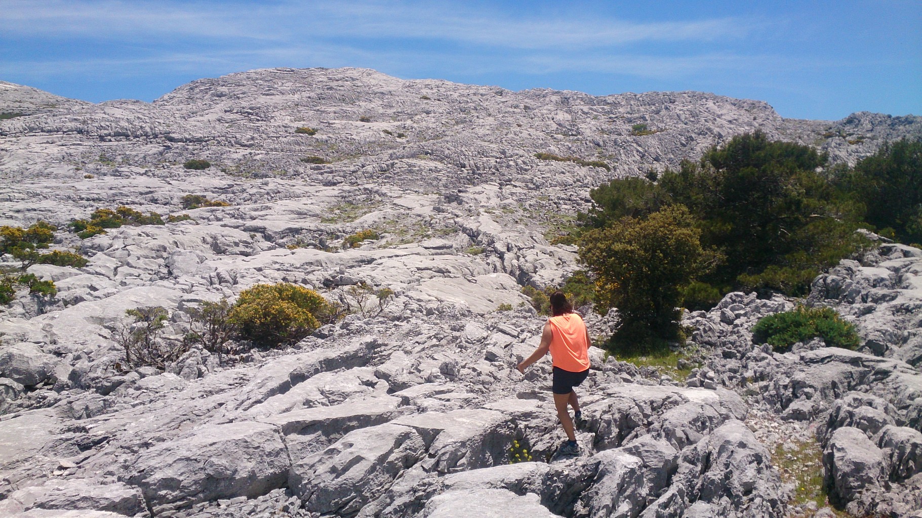 Lapiès - Camptocamp.org