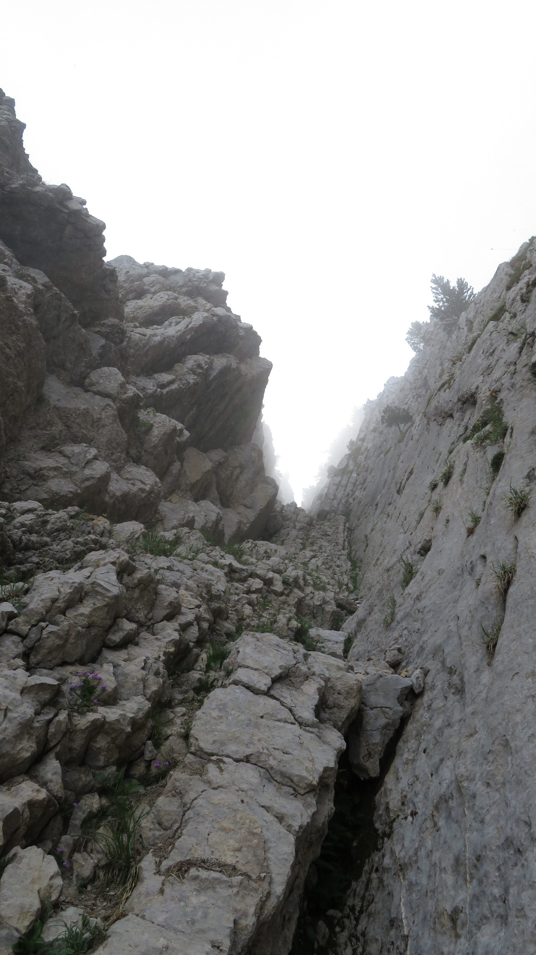 Grand Bargy : Par le couloir des Ranges - Camptocamp.org