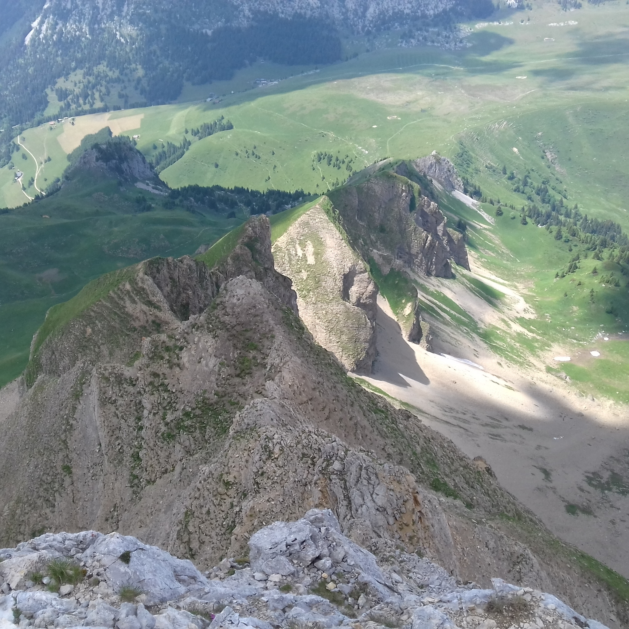 Pointe Blanche : Arête des Aiguilles Vertes - Camptocamp.org