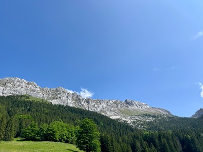 Camptocamp.org